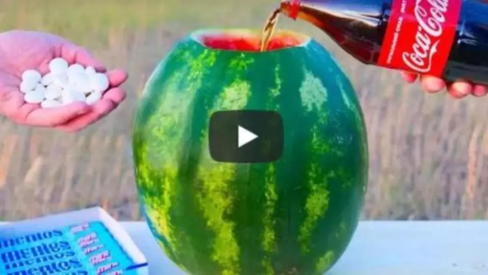 VIDEO – Ce se întâmplă dacă pui cola și mentos într-un pepene roșu ...