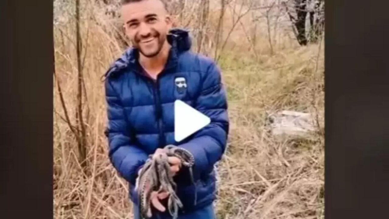 VIDEO – Imagini interzise celor cu inima slabă – Un tânăr a strâns un ...