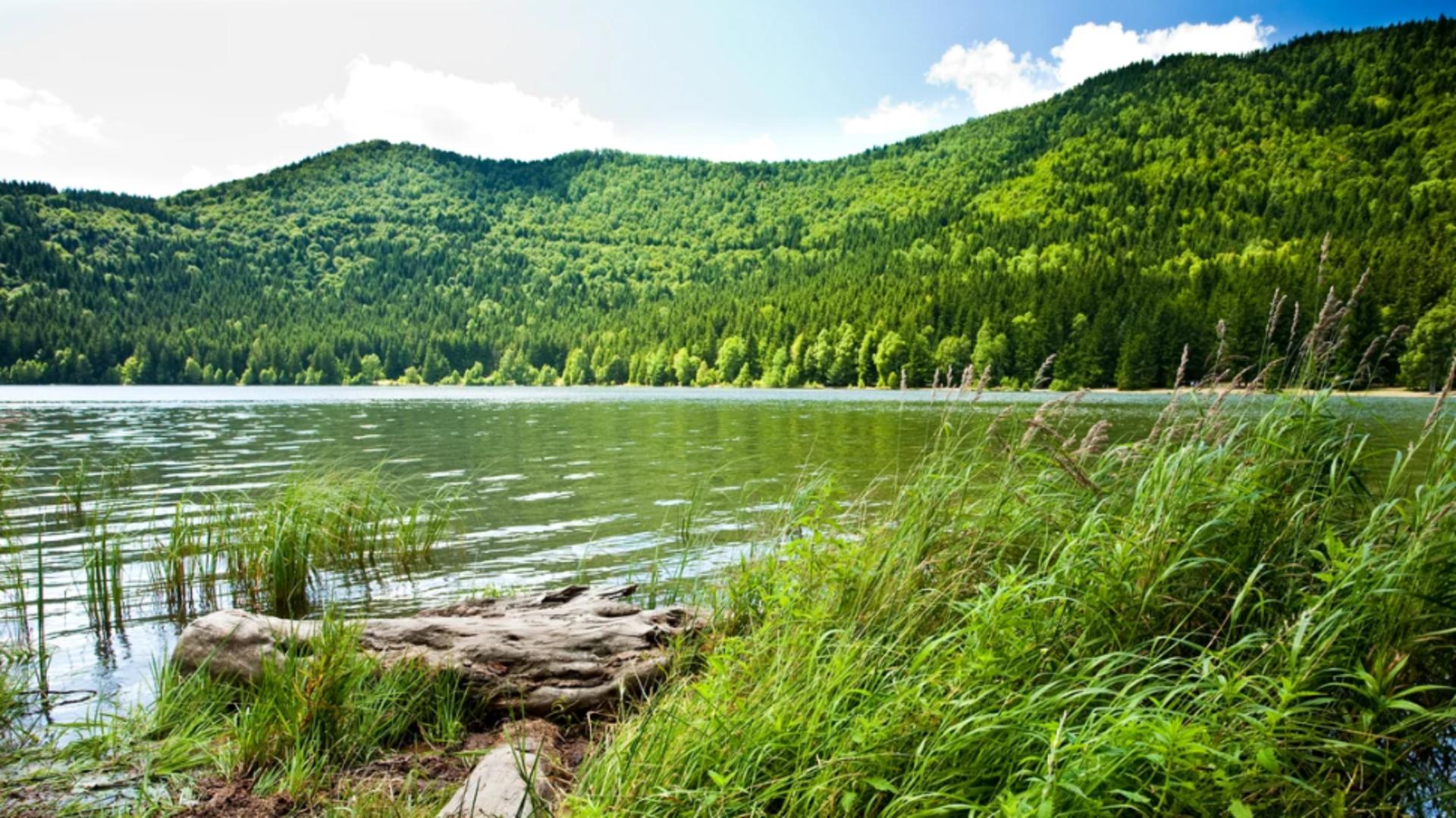 Lacul cu cea mai pură apă din România. O bijuterie naturală