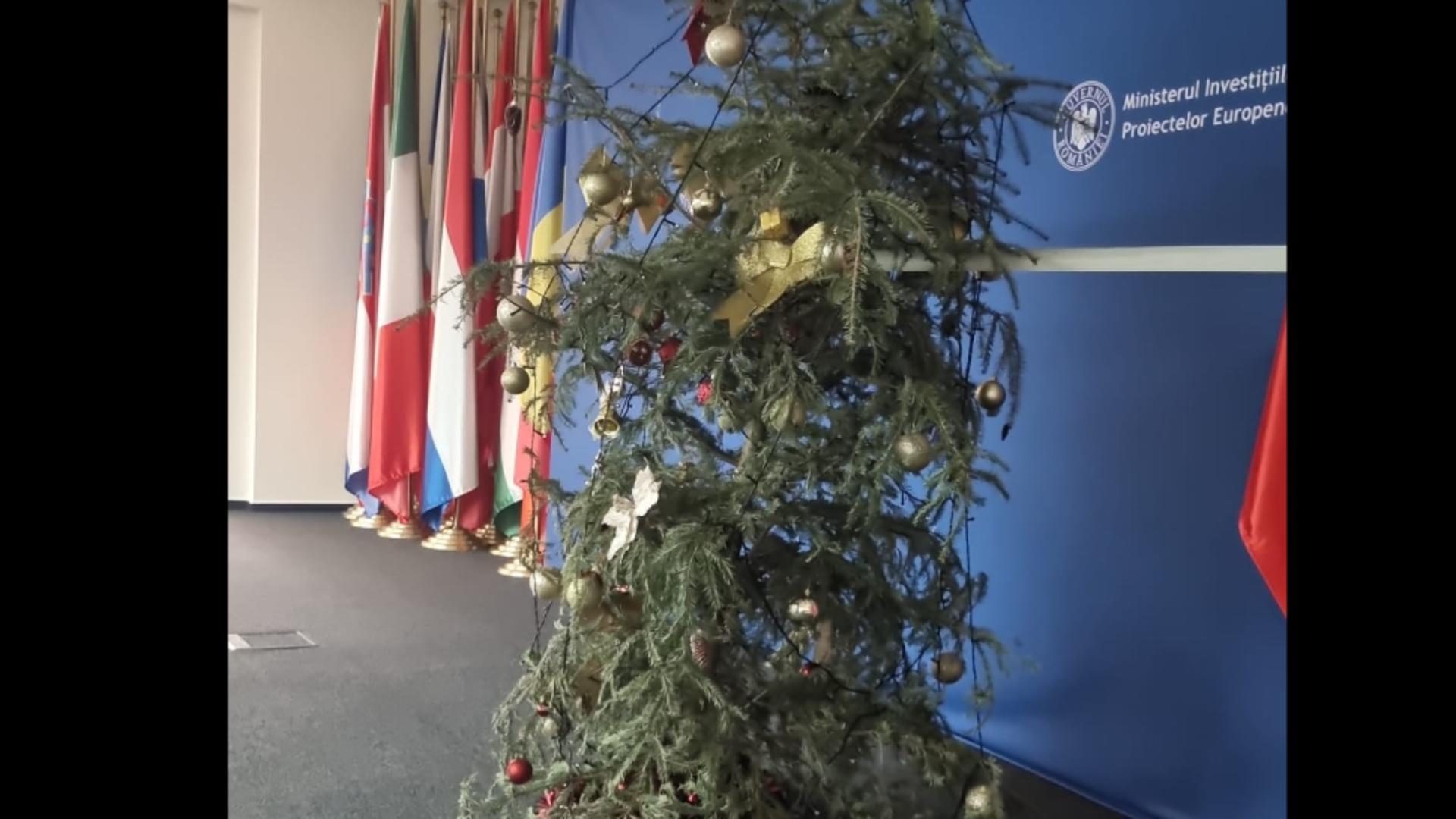 Bradul progresiștilor e ponosit și stă să cadă. Imaginea care spune mai ...